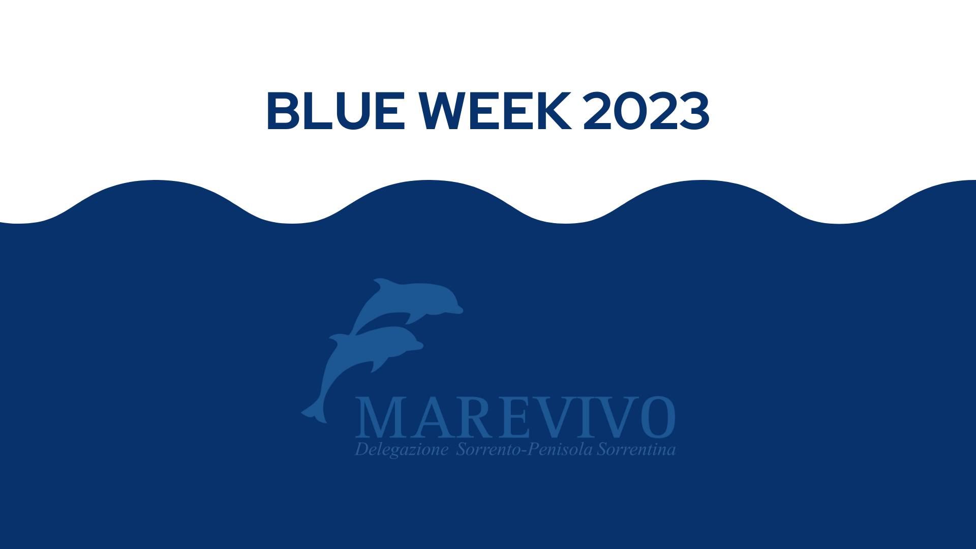 Blue Week 2023: il programma di Marevivo